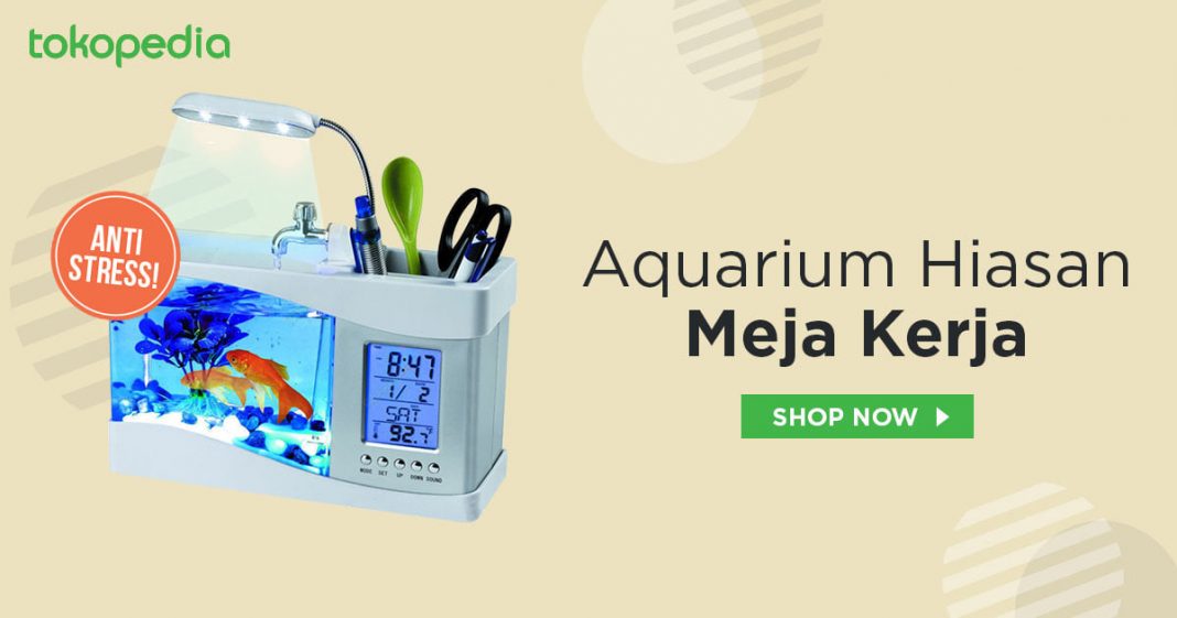 20 Jenis Ikan Cupang, Liar, Hias hingga Aduan - Tokopedia Blog