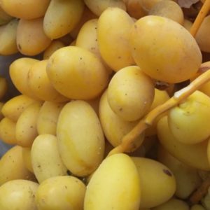 10 Jenis Kurma: Kualitas Terbaik dan Terfavorit di Indonesia (2022)