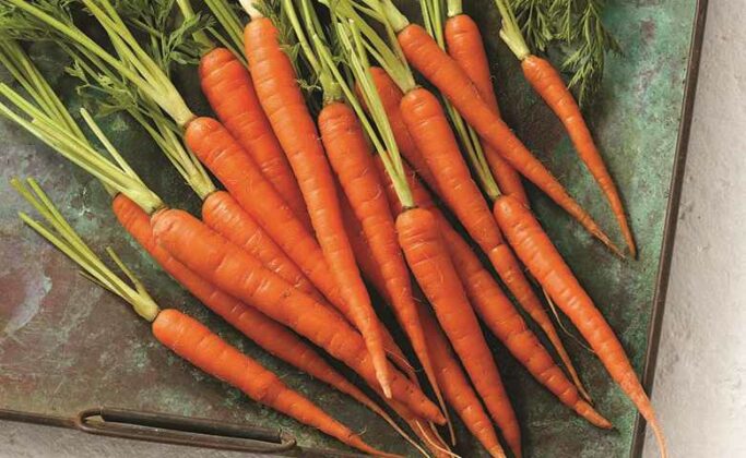 11 Manfaat Wortel: Sumber Vitamin, Khasiat Tak Main-main