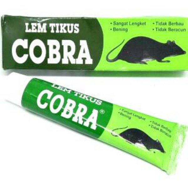 10 Jebakan / Perangkap Tikus Terbaik - Tokopedia Blog