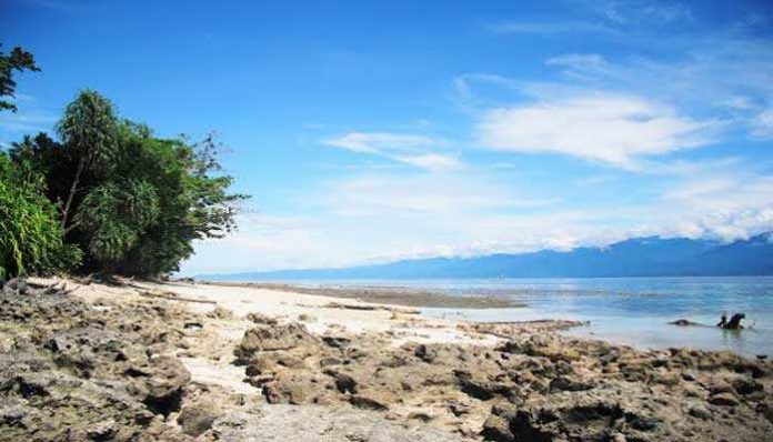 9 Destinasi Wisata Manokwari untuk Hidupkan Jiwa Petualangmu