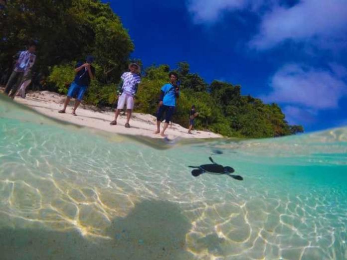 9 Objek Wisata di Kepulauan Derawan Terbaik! - Tokopedia Blog