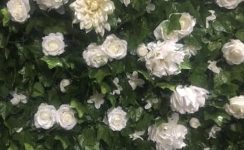 15 Tanaman Rambat Berbunga untuk Percantik Taman - Tokopedia Blog