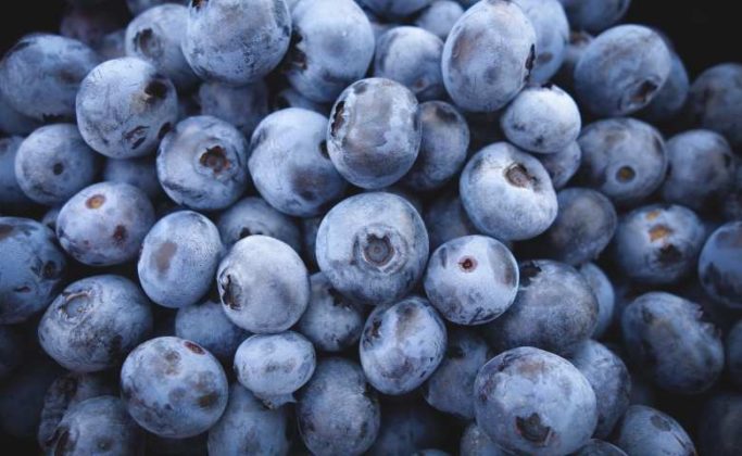 15 Manfaat Buah Blueberry untuk Kesehatan dan Kecantikan - Tokopedia Blog