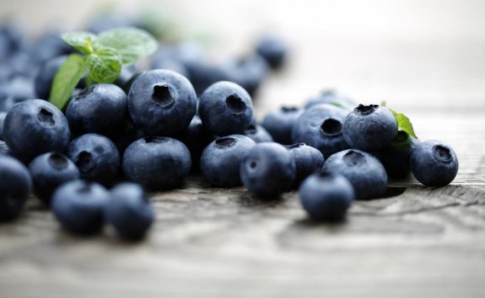 15 Manfaat Buah Blueberry untuk Kesehatan dan Kecantikan - Tokopedia Blog
