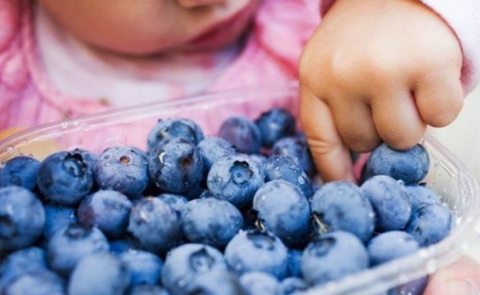 15 Manfaat Buah Blueberry untuk Kesehatan dan Kecantikan - Tokopedia Blog