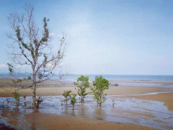 9 Destinasi Tempat Wisata di Tarakan Terbaik - Tokopedia Blog