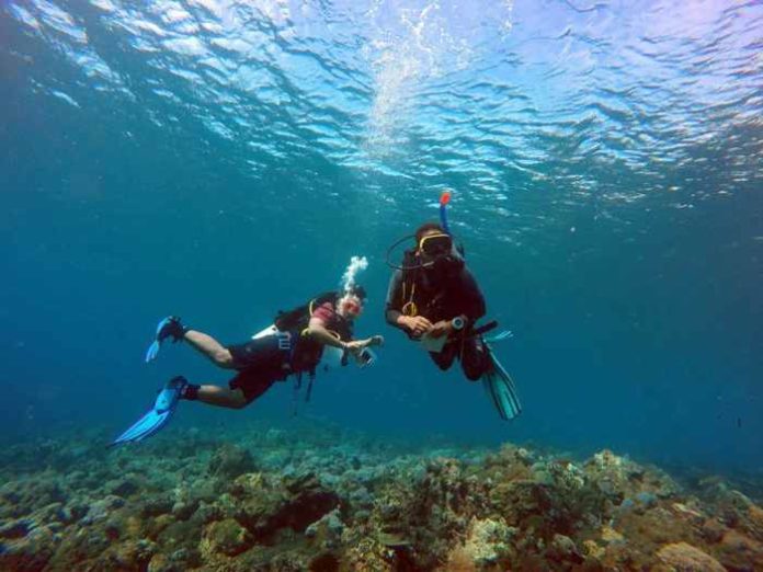 15 Lokasi Diving Terbaik di Indonesia paling Memukau - Tokopedia Blog