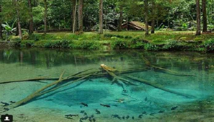 20 Rekomendasi Tempat Wisata di Blitar Terbaik - Tokopedia Blog