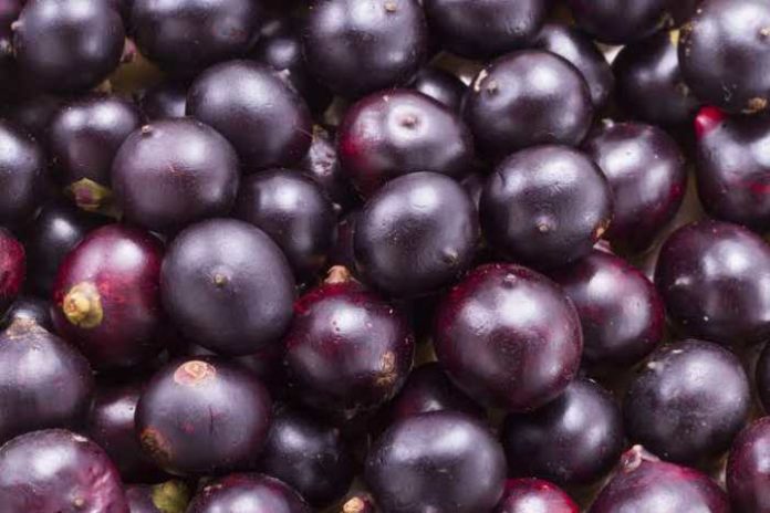 12 Jenis Buah Berry & Manfaat Kesehatannya - Tokopedia Blog