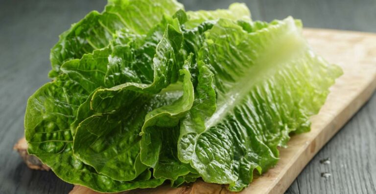 11 Manfaat Selada: Sayuran Daun Kaya Nutrisi 'Sahabat' Diet