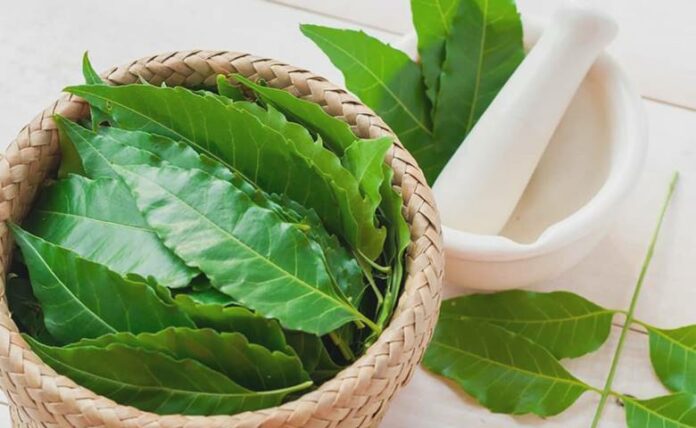 Review Masker Himalaya: Manfaat, Cara Penggunaan, dan Harga