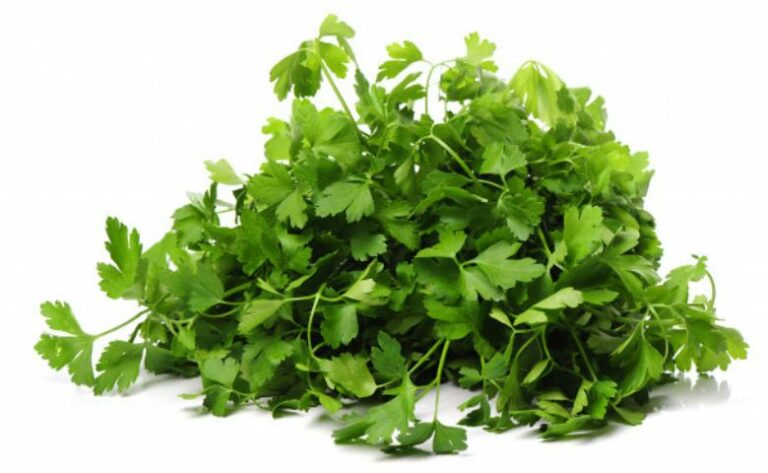 11 Manfaat Parsley/Peterseli: Cegah Diabetes hingga Awet Muda