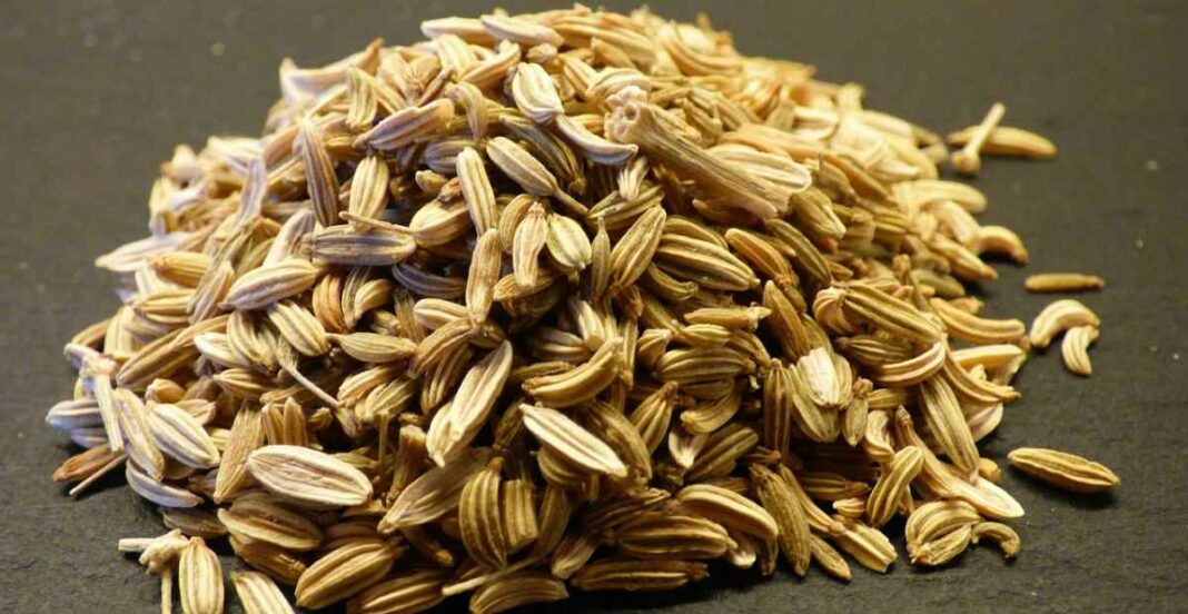 11 Manfaat Adas: Sehatkan Jantung hingga Cegah Kanker