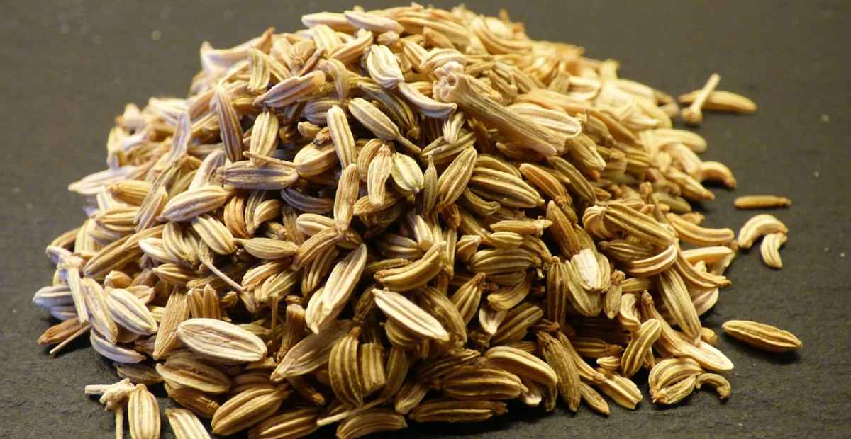 11 Manfaat Adas: Sehatkan Jantung hingga Cegah Kanker
