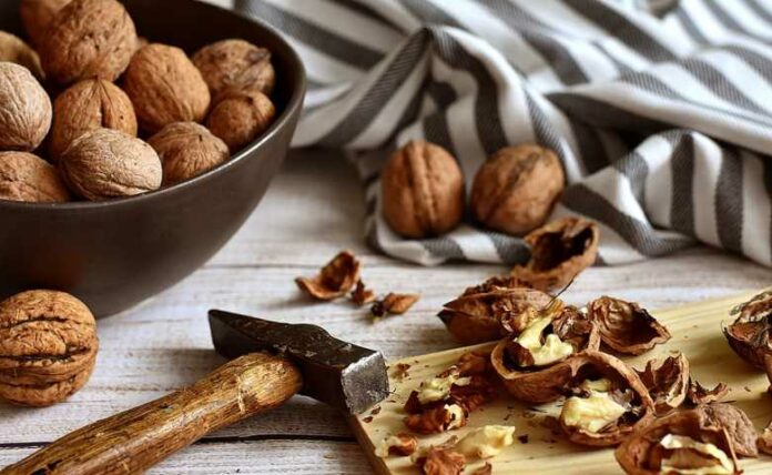 10 Manfaat Walnut: Gizi Lengkap, Mudah Didapat