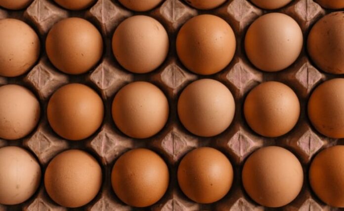 11 Manfaat Protein: Zat Pembangun dan Sumber Energi