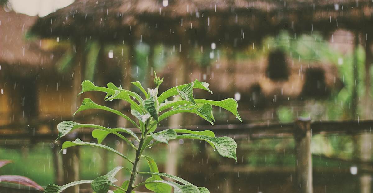 Proses Terjadi Hujan Lengkap Beserta Gambar dan Penjelasannya