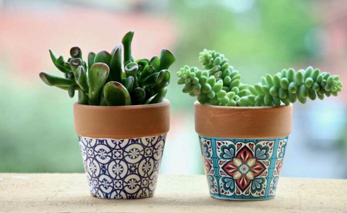 10 Alat Berkebun: Tampilan Kebun Cantik dan Rapi - Tokopedia Blog
