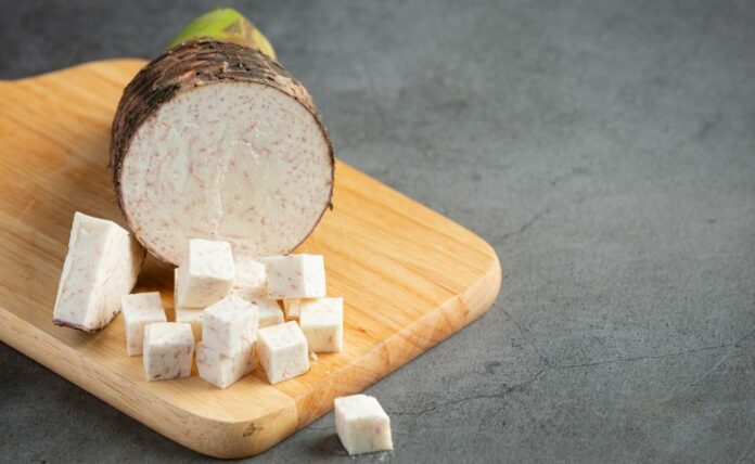 11 Manfaat Talas: Umbi Purba yang Luar Biasa