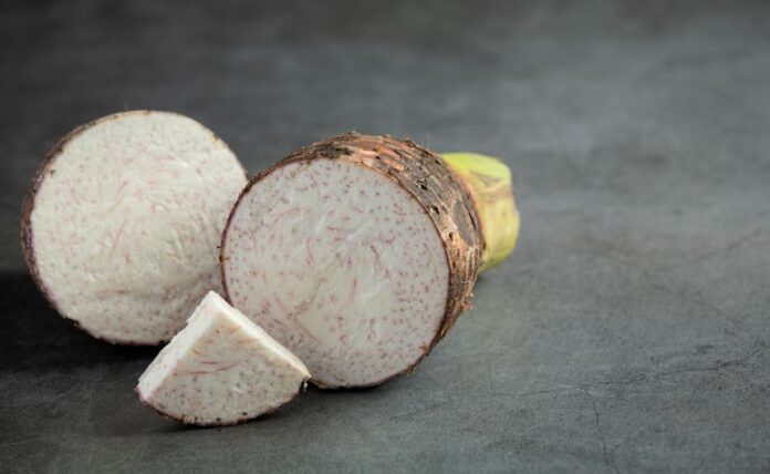 11 Manfaat Talas: Umbi Purba yang Luar Biasa