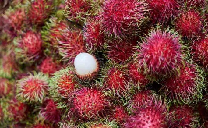 13 Manfaat Buah Rambutan: 'Si Manis' yang Kaya Antioksidan