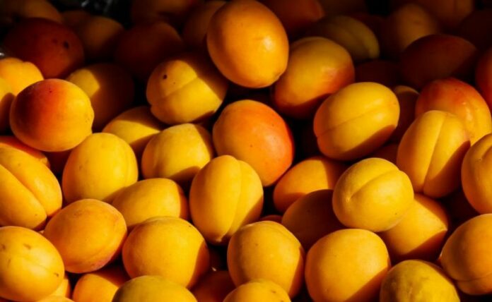 15 Makanan yang Mengandung Kalium: Susu hingga Buah Segar