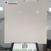Jual Granito Salsa Ivory OASIS 60x60 cm UNPOLISHED - Kota Bekasi ...