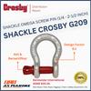 Jual Shackle Omega / Segel Omega CROSBY G209 Screw Pin 1/4 - 2-1/2 Inch ...