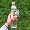 Jual SIRUP JAGUNG KOREA Mulyeot Corn Syrup 700 g | Daesang Sajo For BBQ ...