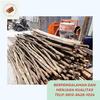 Jual Kayu Dolken Ukuran 8/10 untuk Proyek - Harga per Batang - Kota ...