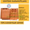 Jual genteng karangpilang goodyear flat gemini - Kab. Sidoarjo - BANGUN ...