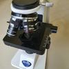 Jual Mikroskop Binokuler / Microscope Binocular | Optika B-159 ex ...