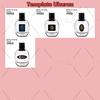 Promo Stiker Botol Parfum OV 30ml Oval Parfume Sticker Custom Premium ...