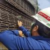 Jual Besi Wiremesh/Wermes Lionmesh M4 M5 M6 M7 M8 M9 M10 M12 Sertifikat ...