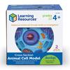 Jual Learning Resources Cross-Section Animal Cell Model - Kota ...