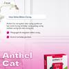 Promo Anthel Cat 1 Tablet - Obat Cacing Kucing by Kalbe [ORIGINAL ...