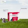 Promo Anthel Cat 1 Tablet - Obat Cacing Kucing by Kalbe [ORIGINAL ...