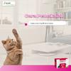 Promo Anthel Cat 1 Tablet - Obat Cacing Kucing by Kalbe [ORIGINAL ...