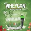 Jual Rimbalife WHEYGAN 2lbs 2lb 900 Gram Whey Gan Rimba Vegan Protein ...