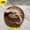 Jual SSR Leopard Gecko Super Raptor Super Snow Raptor - C07.03 - Kab ...