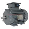 Promo TECO Dinamo Elektro Motor 11KW 15HP 3 Phase 380V/660V 50HZ B3 Foot - 1000 RPM 6 POLE ...
