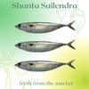 Jual IKAN SELUNGSUNG SEGAR 1 KG - Kota Denpasar - SHANTA SAILENDRA ...