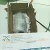 Jual Larutan Buffer Acetat/Buffer Asetat request pH 3,6 sampai 5,6 ...