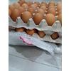 Jual Telur Ayam / Telor Ayam Satu Tray Isi 30 Butir - Jakarta Selatan ...