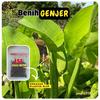 Jual Tukuyuu ±3000 Biji - Benih Genjer Sayur Gendot - Kota Surabaya ...