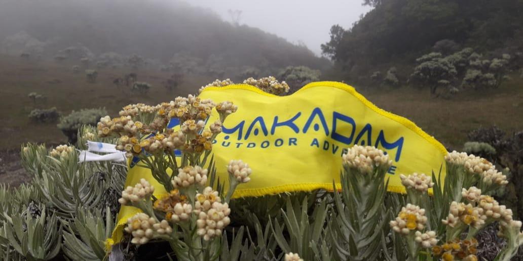 Toko Makadam Online - Produk Lengkap & Harga Terbaik | Tokopedia