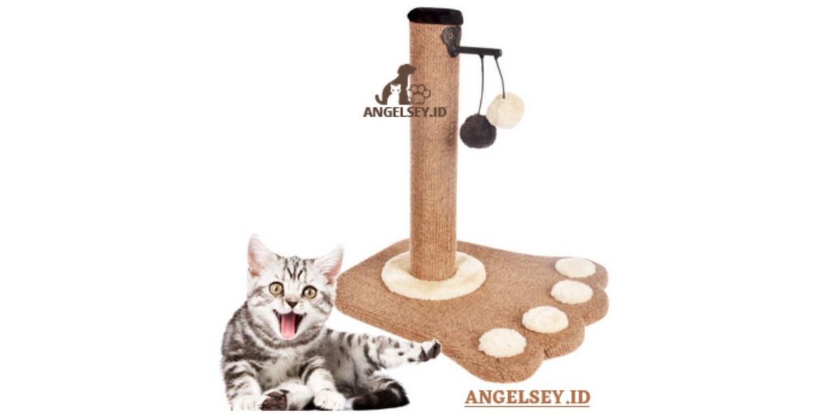 Toko Angel store8 Online - Produk Lengkap & Harga Terbaik | Tokopedia