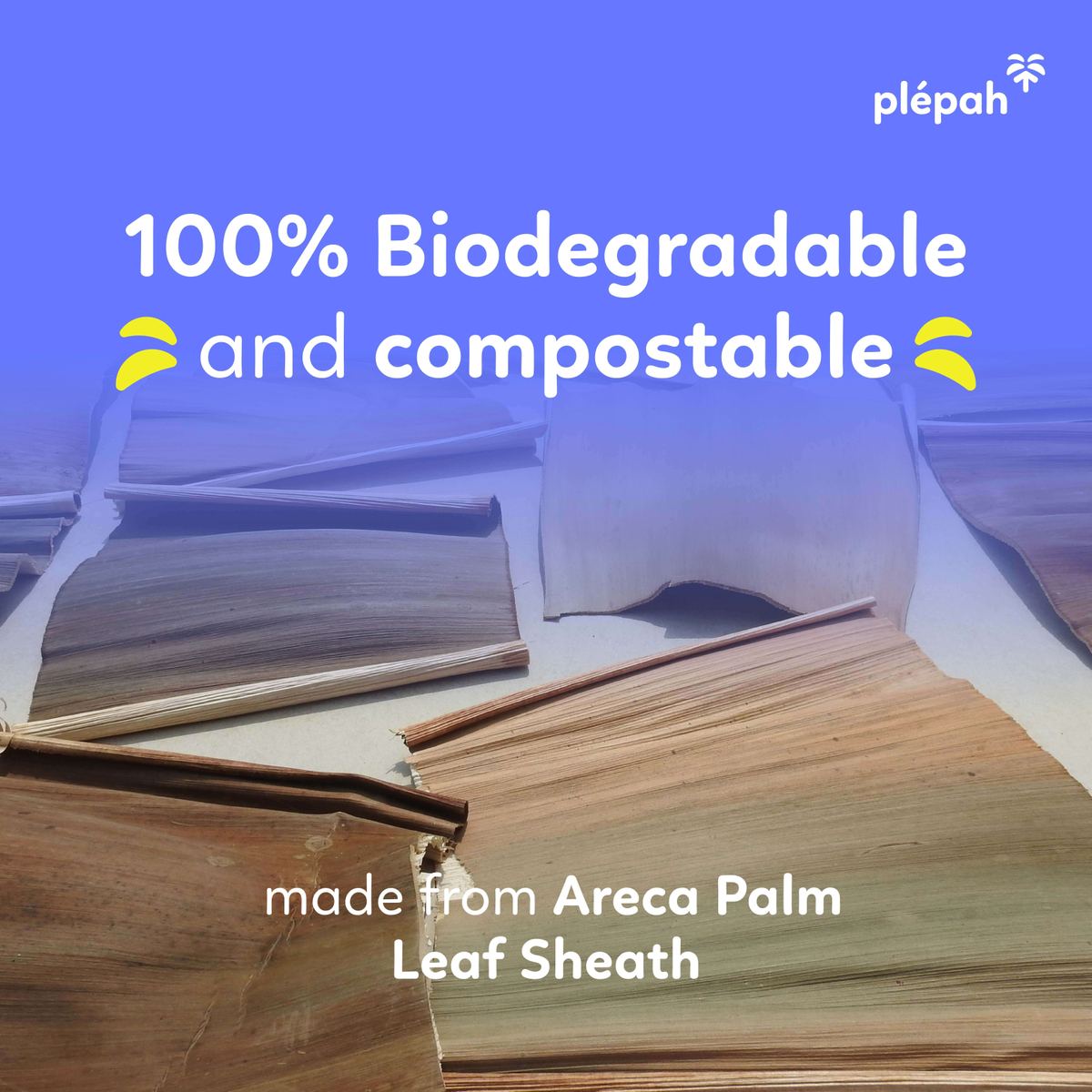 Toko Plepah Online - Produk Lengkap & Harga Terbaik | Tokopedia