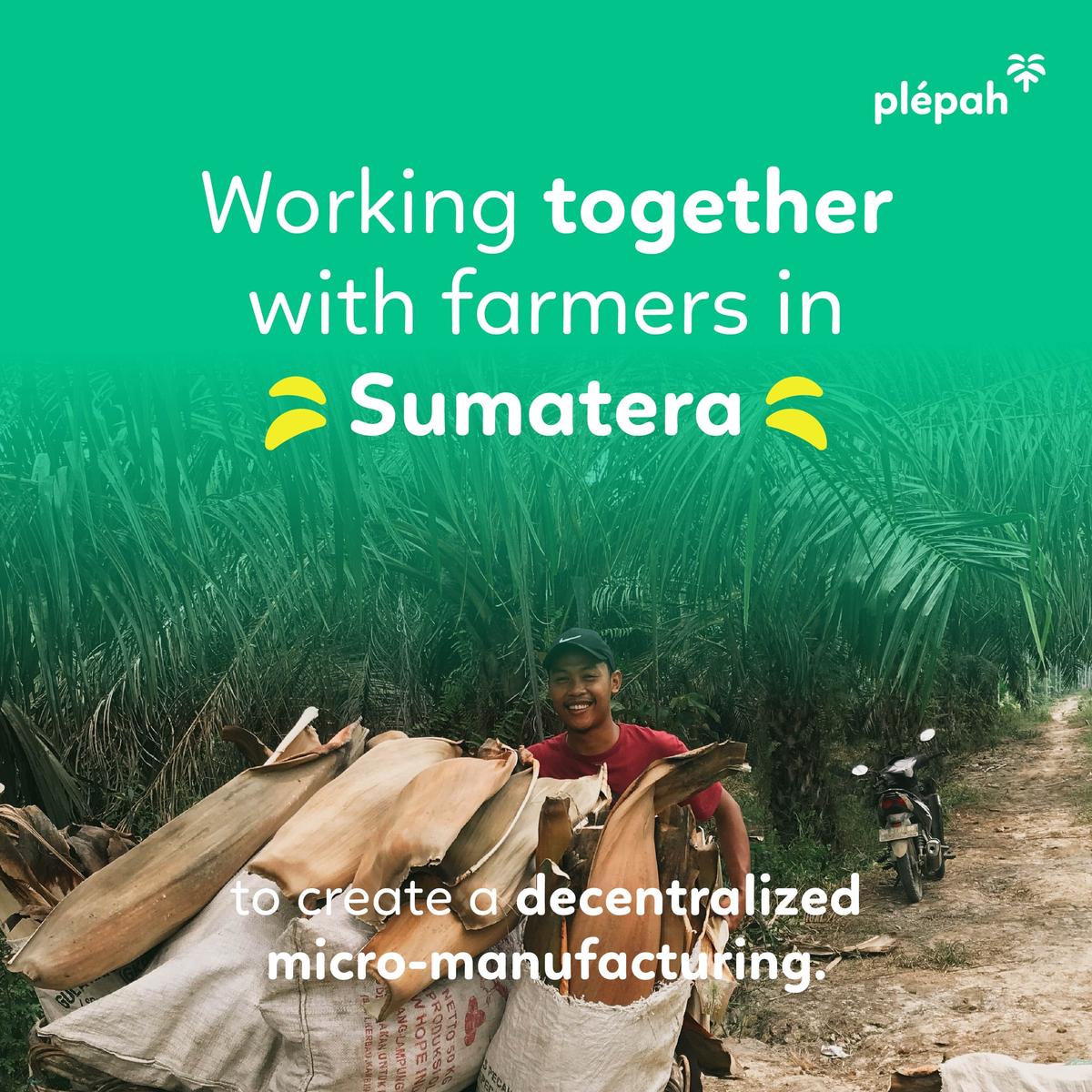 Toko Plepah Online - Produk Lengkap & Harga Terbaik | Tokopedia